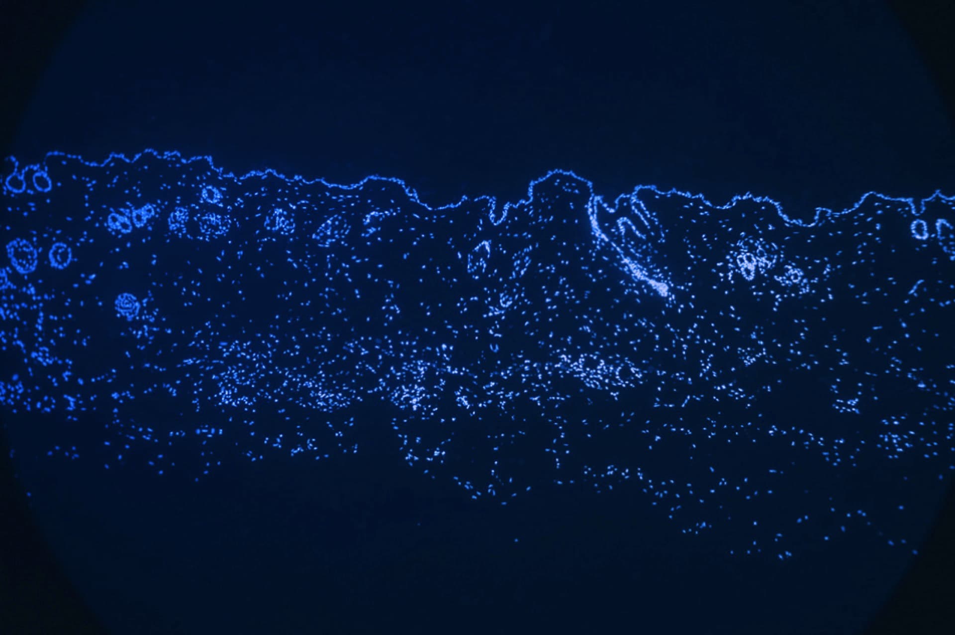 Altos Labs - Science