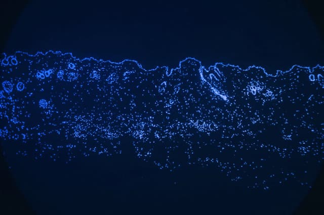 Altos Labs - Science