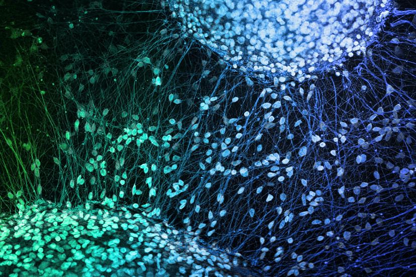 Altos Labs - Careers